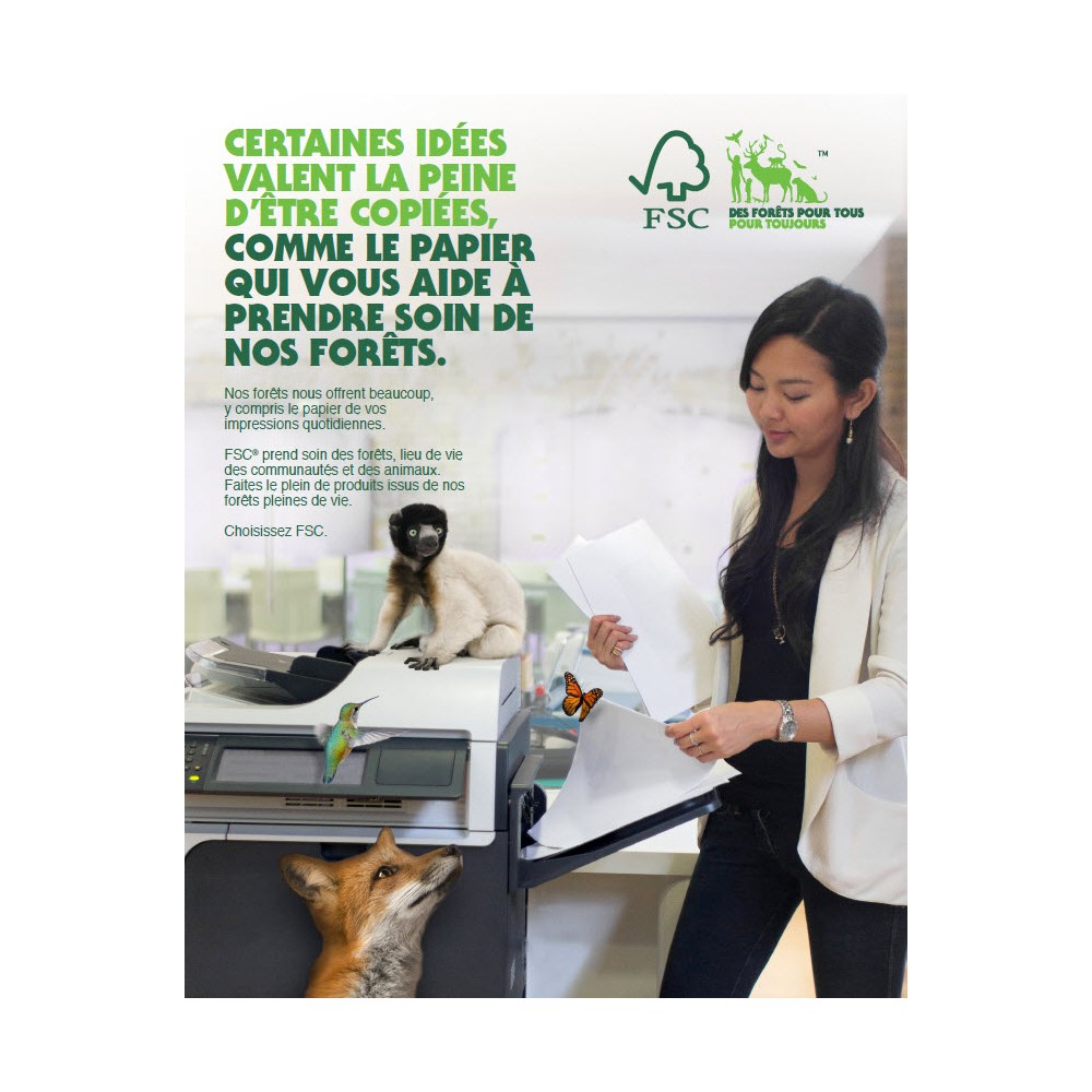 Feuilles autocollantes A4 blanches mates – 25 feuilles imprimables jet ...